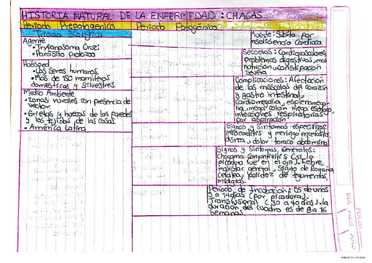 HISTORIA NATURAL DE LA ENFERMEDAD: CHAGAS - HNE NL33 - Studocu