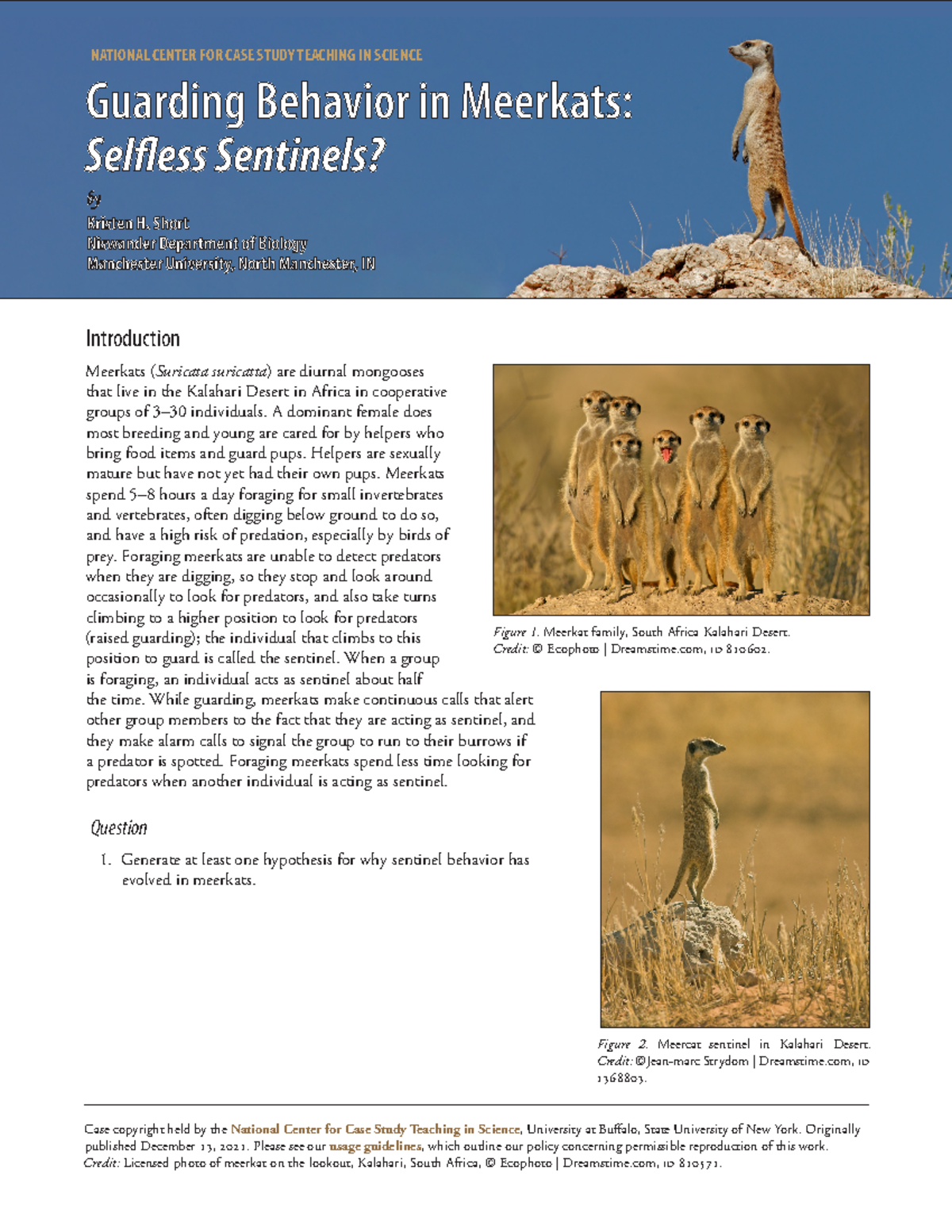 Case Study: Guarding Behavior and Sentinel Duty in Meerkats (BIO101 ...