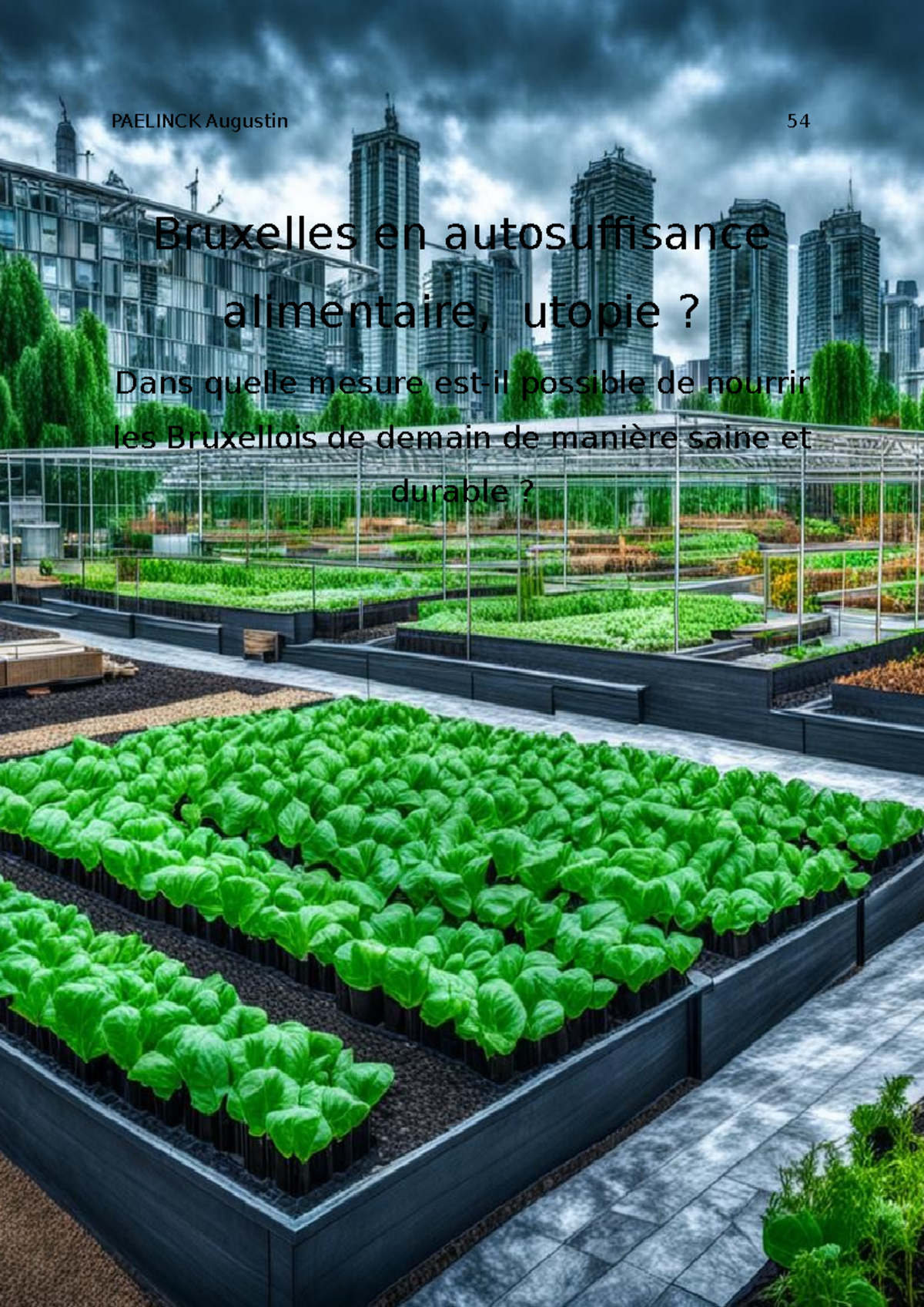 TFE : Bruxelles en autosuffisance alimentaire - PAELINCK Augustin 54 ...