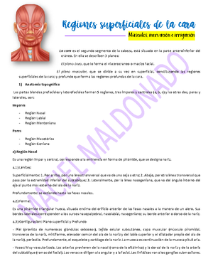 Regiones profundas de la Cara - 1) Fosa cigomática Es el espacio ...