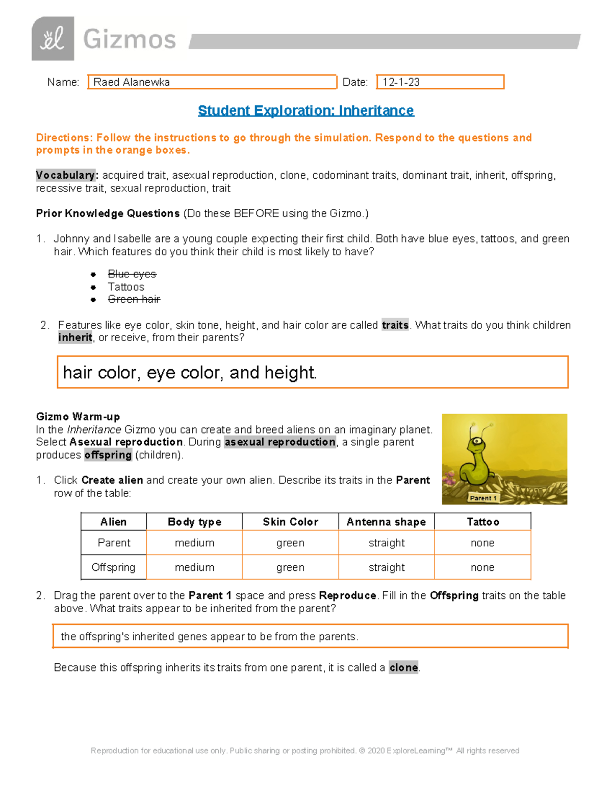 Inheritance Investigation using Gizmo Simulation - 18259582 - Studocu