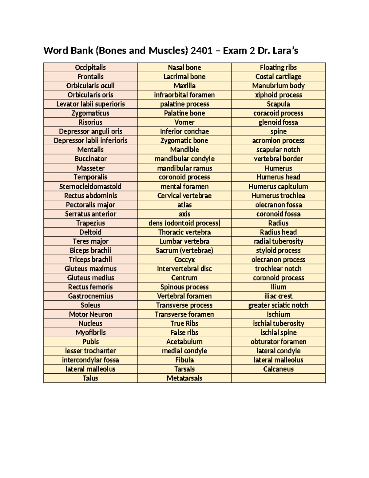 Word Bank: Bones and Muscles for Exam 2 - 2401 Dr. Lara's Study Guide ...