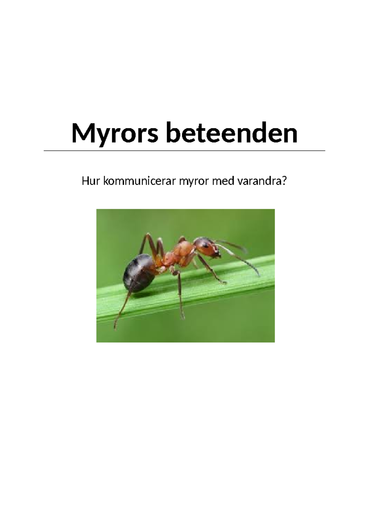 Myror och deras kommunikation: En studie av beteendeekologi - Studocu