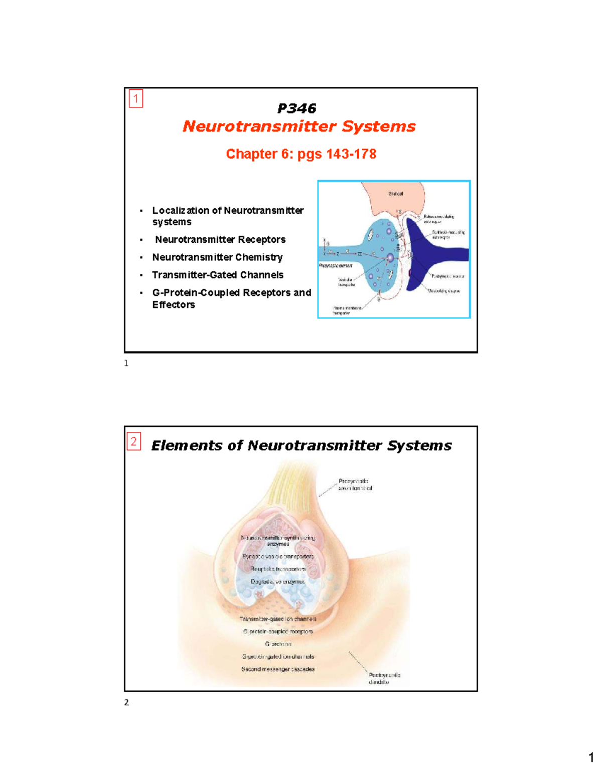 Neurotransmitter Systems and Receptors: Overview and Functions (P346 ...