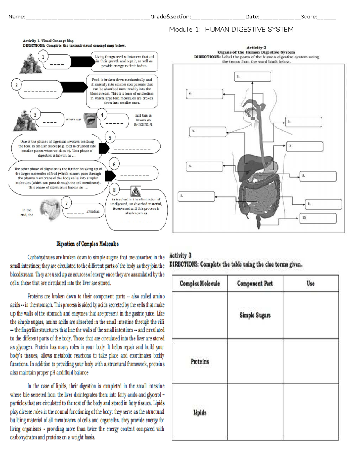 Activity IN Module 1 Digestive System - Core Subject - Physical Science ...