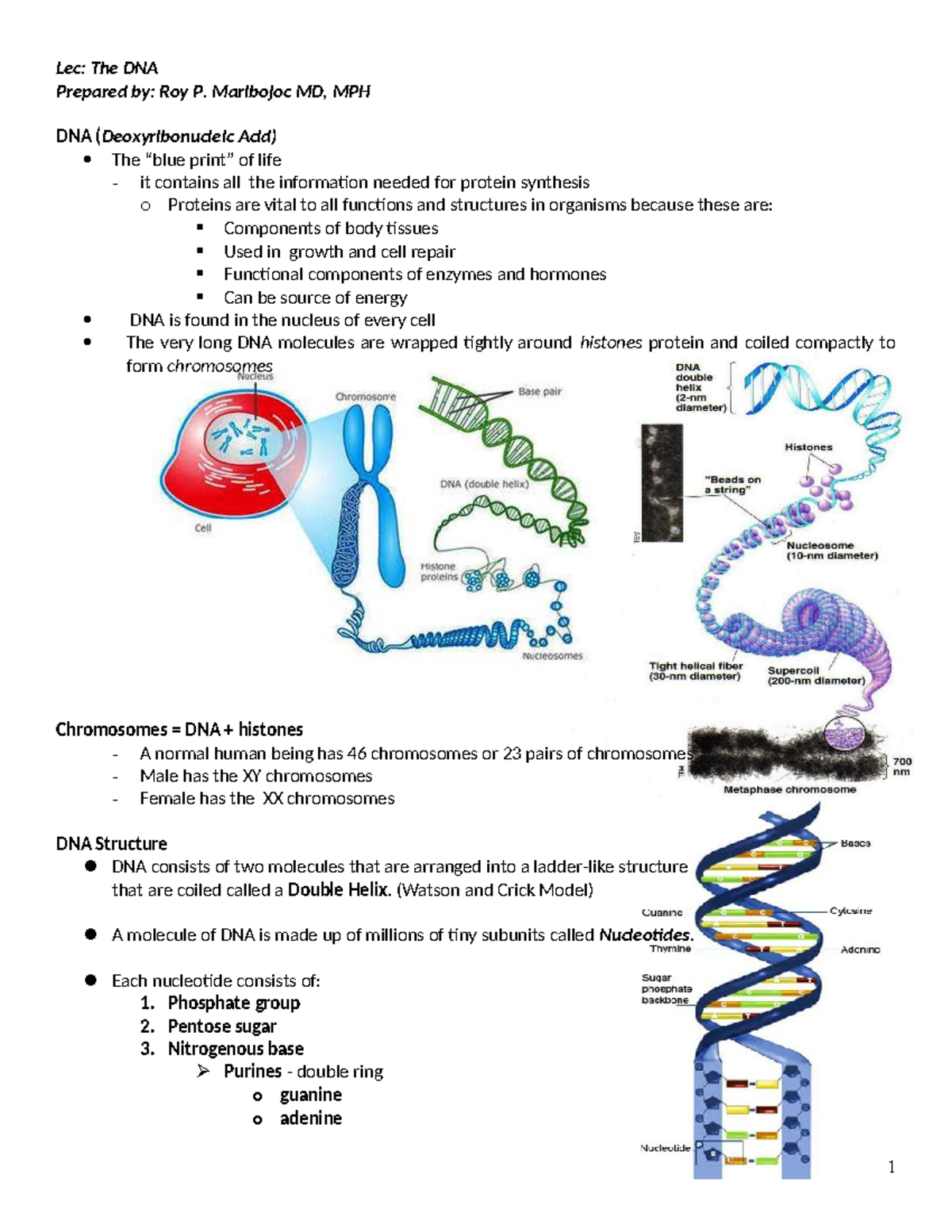 Lec4 the DNA - DNA intro - Lec: The DNA Prepared by: Roy P. Maribojoc ...