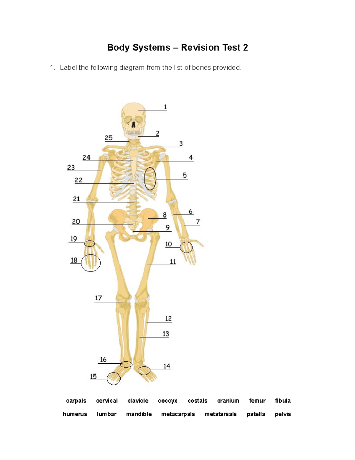 Body Systems Test 2 Review Questions and Diagram Labeling - Studocu