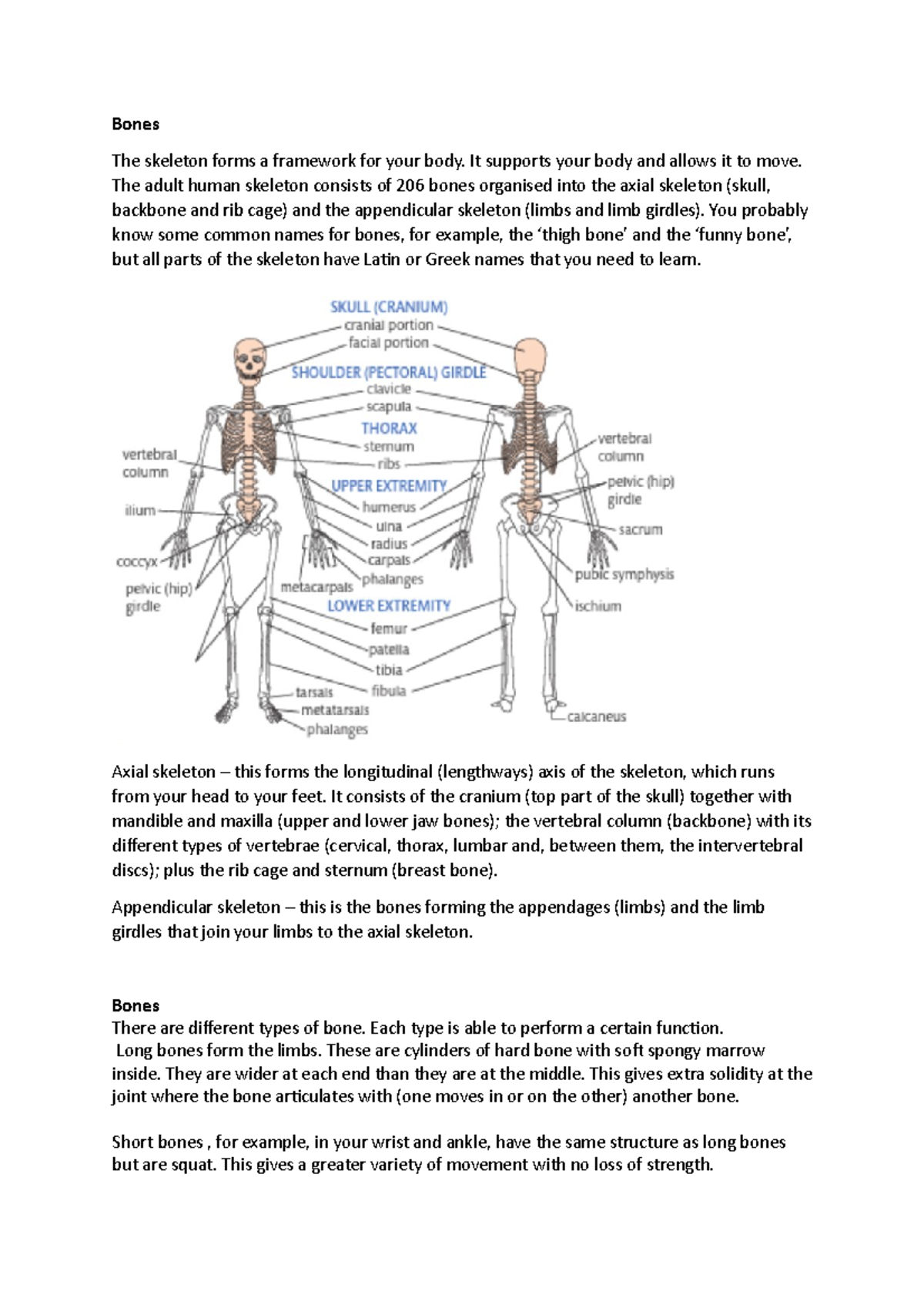 Bones: Understanding Human Body Systems - Unit 8 Overview - Studocu