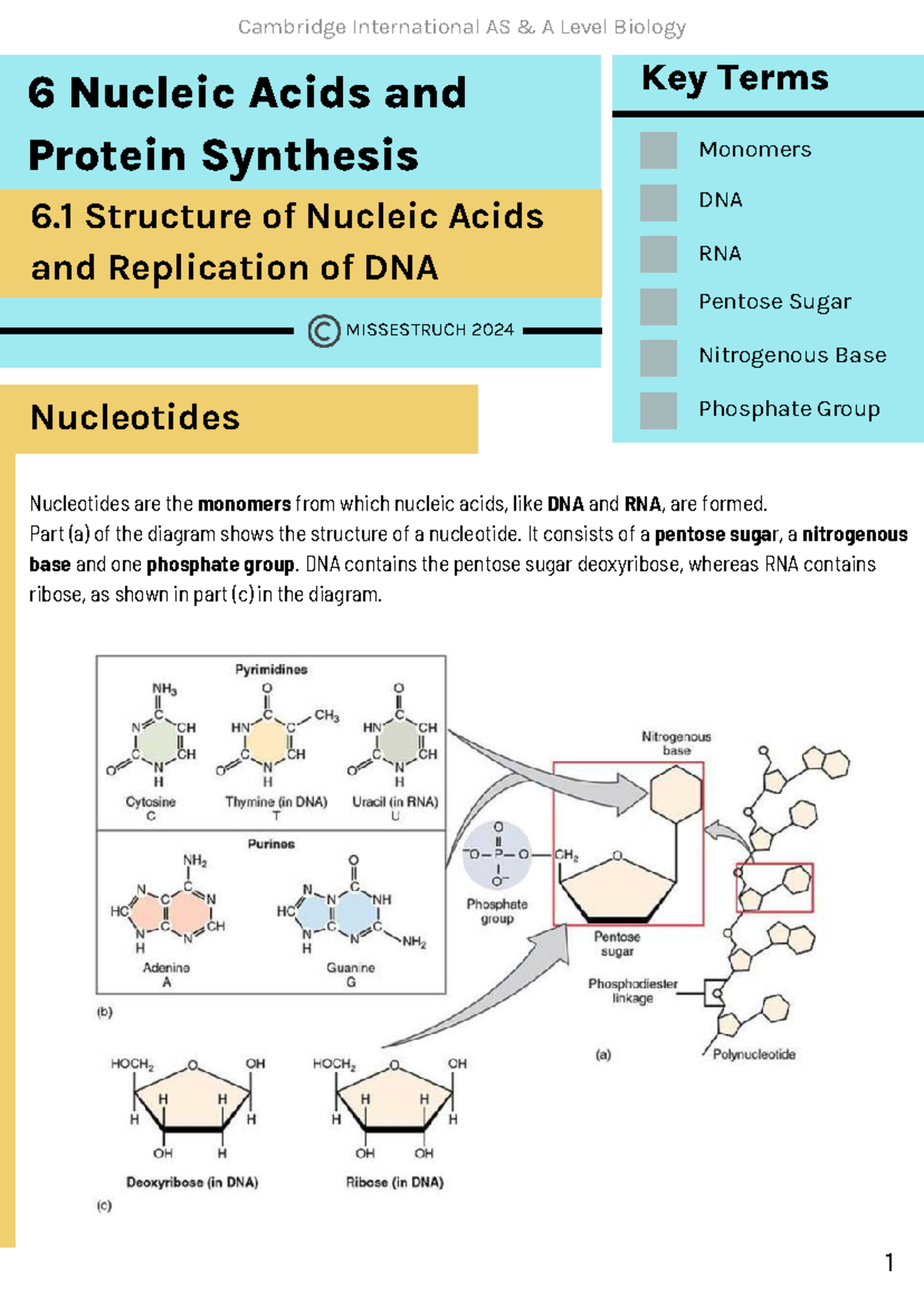 Cambridge International AS A Level Biology 6: Nucleic Acids & Protein ...