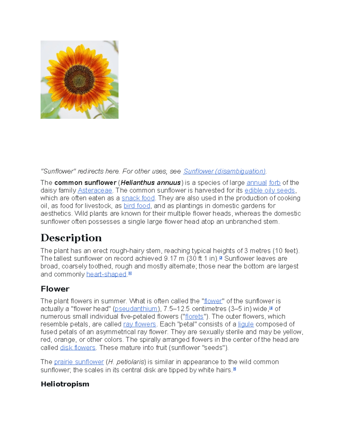 Sunflower Overview: Characteristics and Uses - Studocu