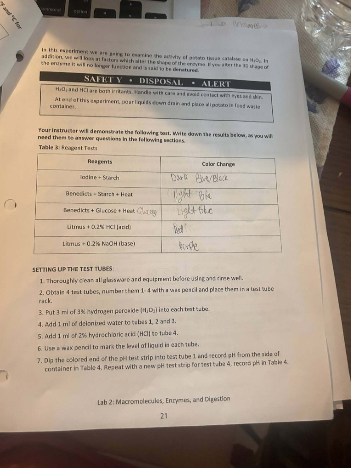 Final Exam Study Guide: Enzyme Activity & Catalase - XYZ123 - Studocu