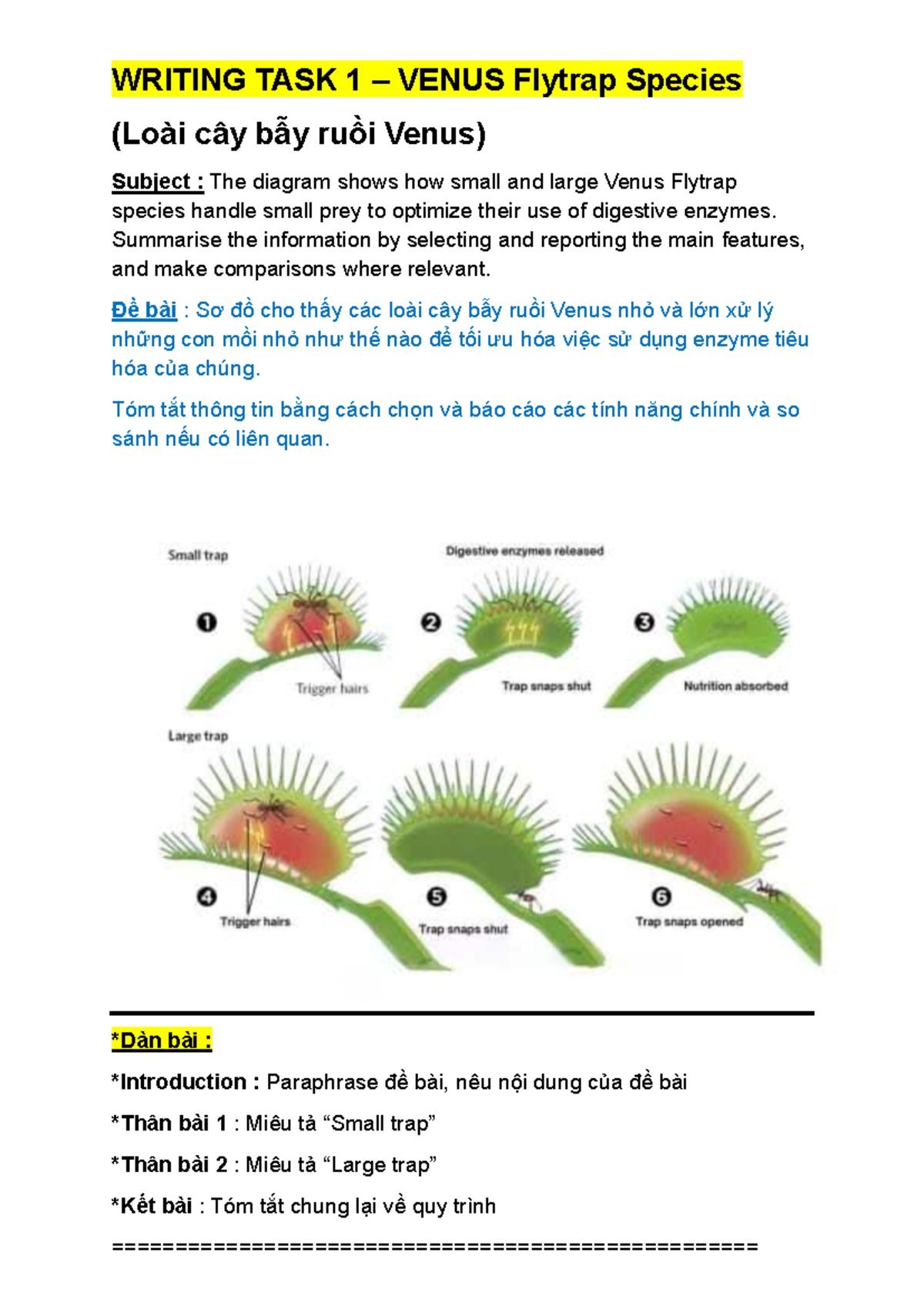 (Bài mẫu band 8) Writing TASK 1- Process- HOA Venus Flytrap-live ...