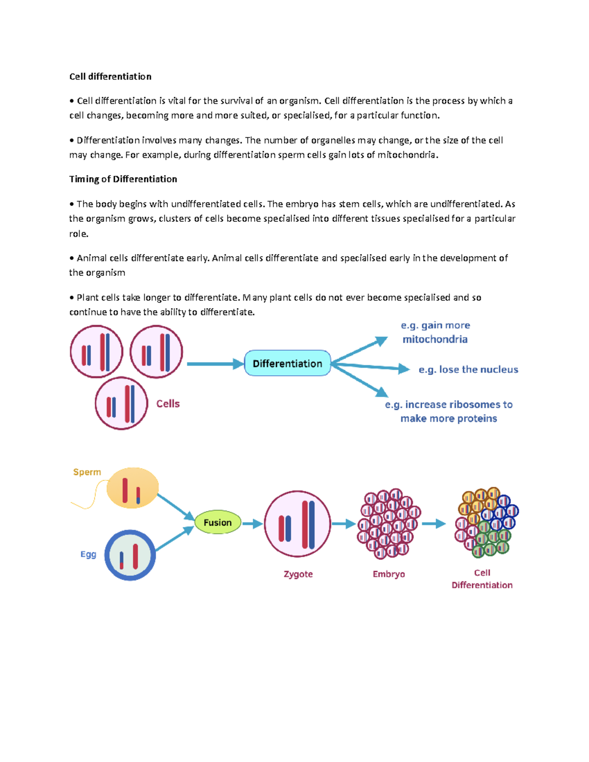 Cell Biology 2: Understanding Cell Differentiation and Specialization ...