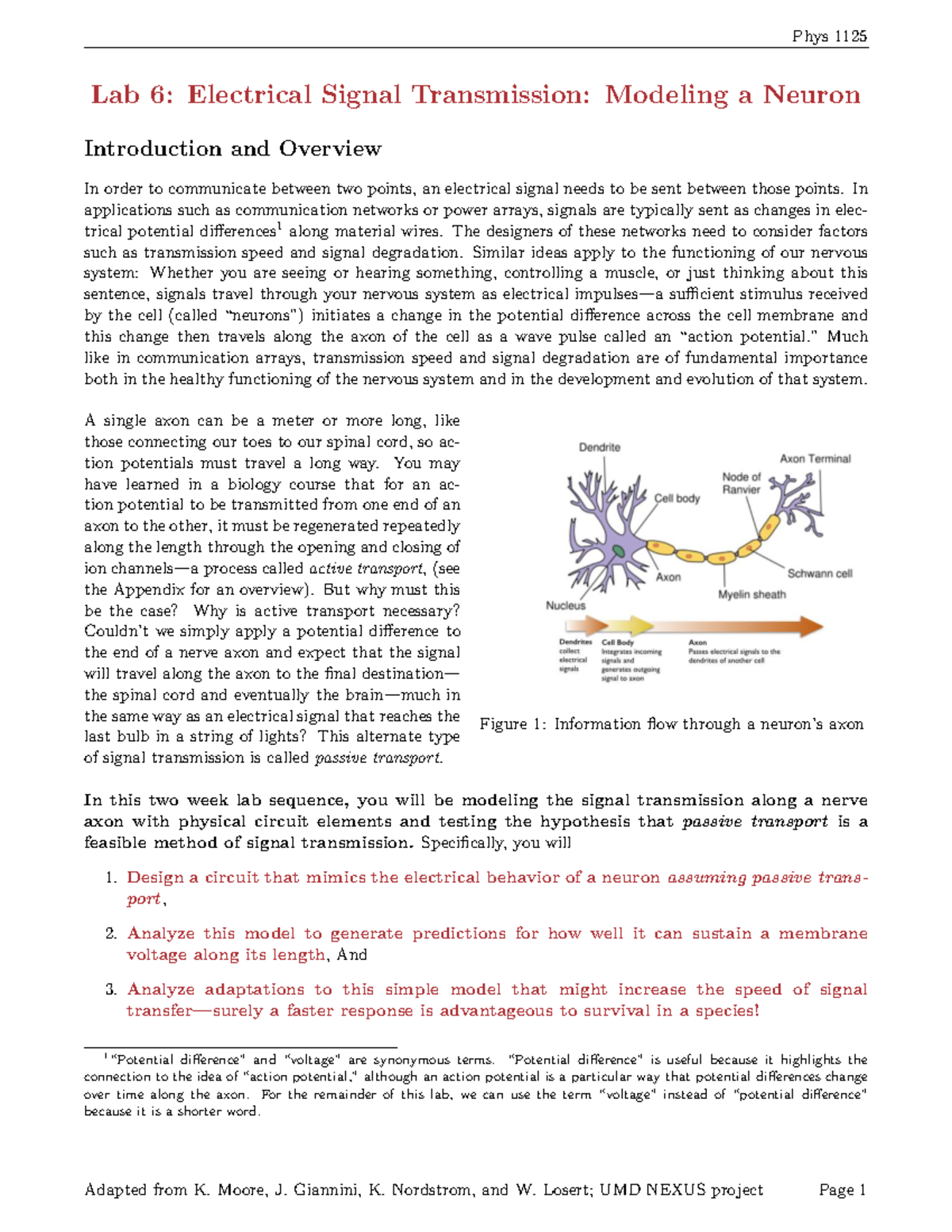 Phys 1125 Lab 6: Electrical Signal Transmission in Neurons - Studocu