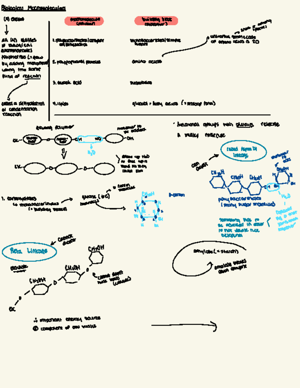 Biological Macromolecules Overview and Functions (BIO 101) - Studocu
