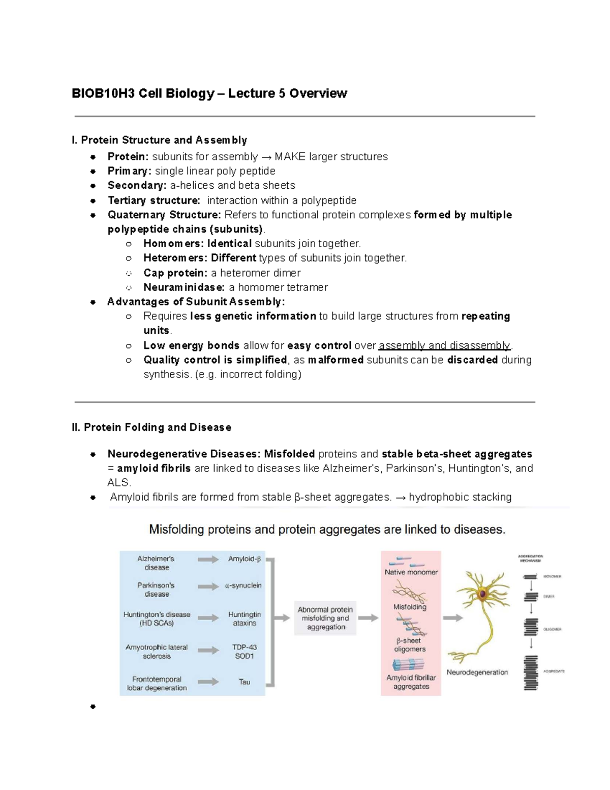 BIOB10H3 Cell Biology Lecture 5: Protein Structure & Folding Insights ...
