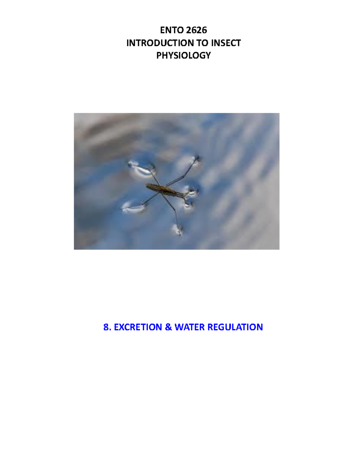 ENTO 2626 Insect Physiology: Excretion & Water Regulation Overview ...