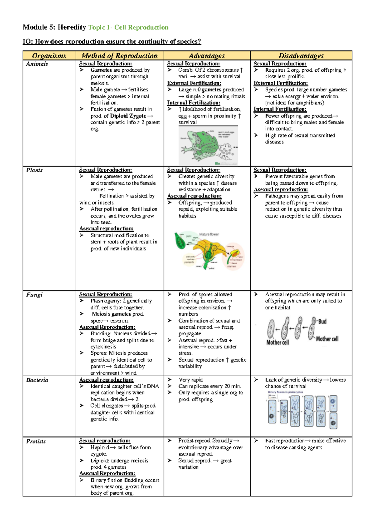 Module 5 Biology Summary Notes: Heredity, Reproduction & DNA Functions ...
