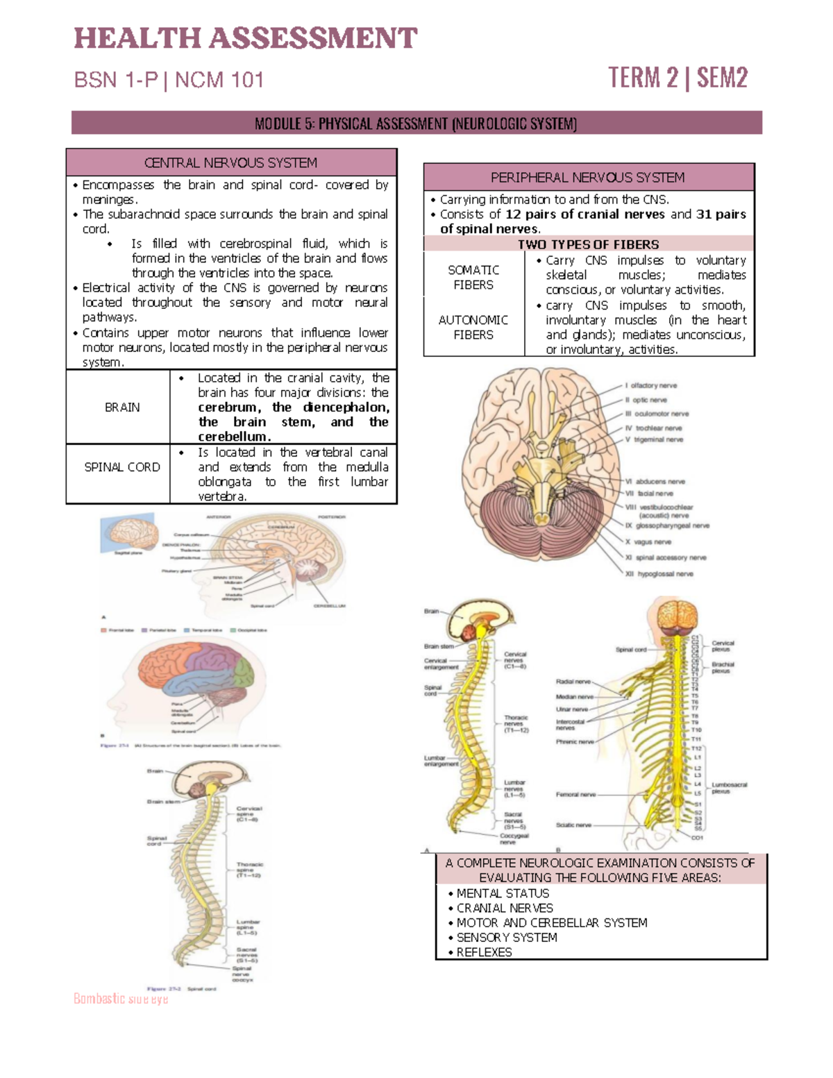 NCM 101 Physical Assessment of the Neurologic System Notes - Studocu