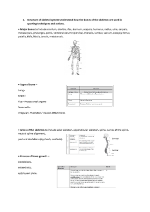 Unit 1 workbook - Learning Aim: A The Skeletal System Workbook Name: A ...