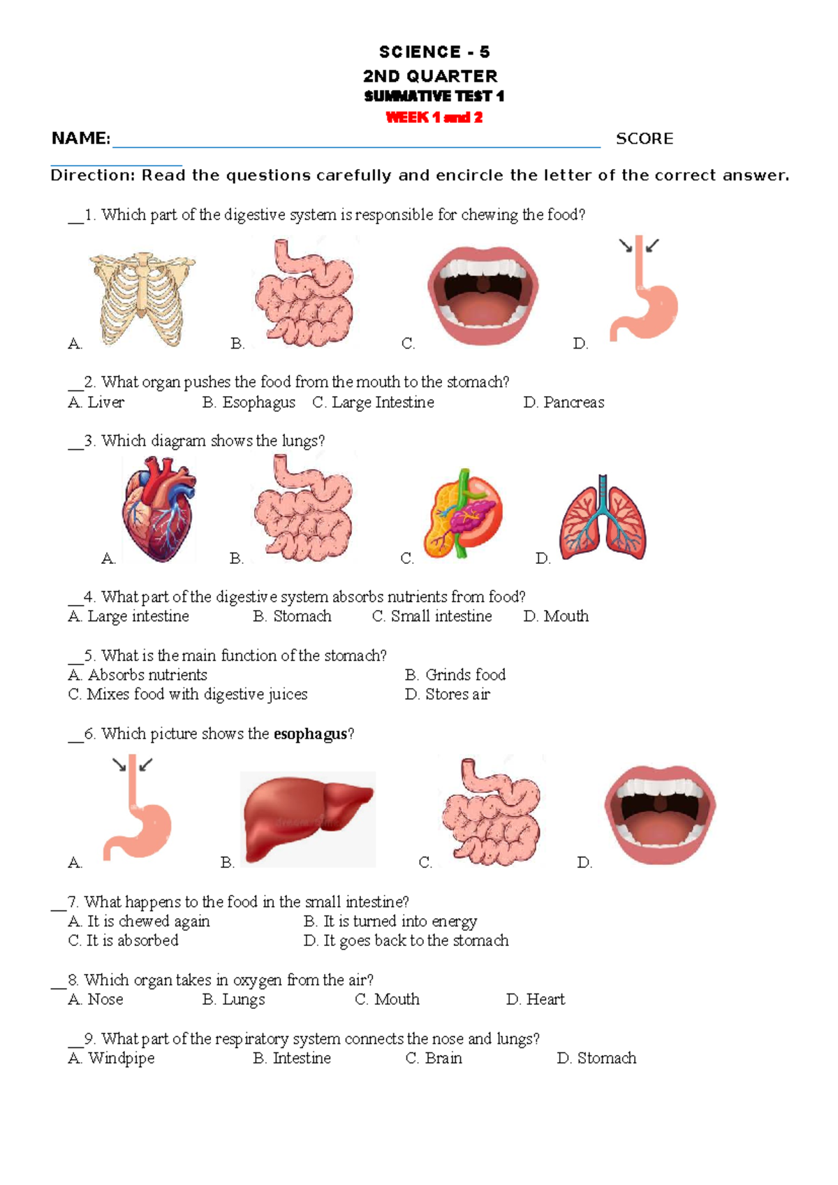 Q2 SCIENCE 5 SUMMATIVE TEST 1: DIGESTIVE & RESPIRATORY SYSTEMS - Studocu