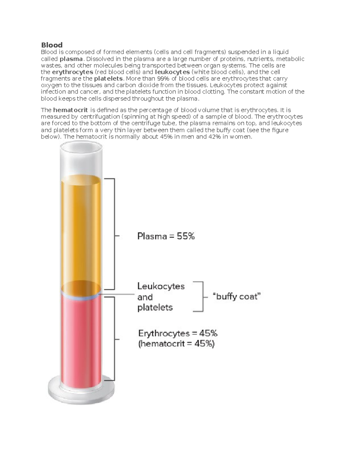 Anatomy and Physiology of Erythrocytes: Blood Cell Production (BIOL 101 ...