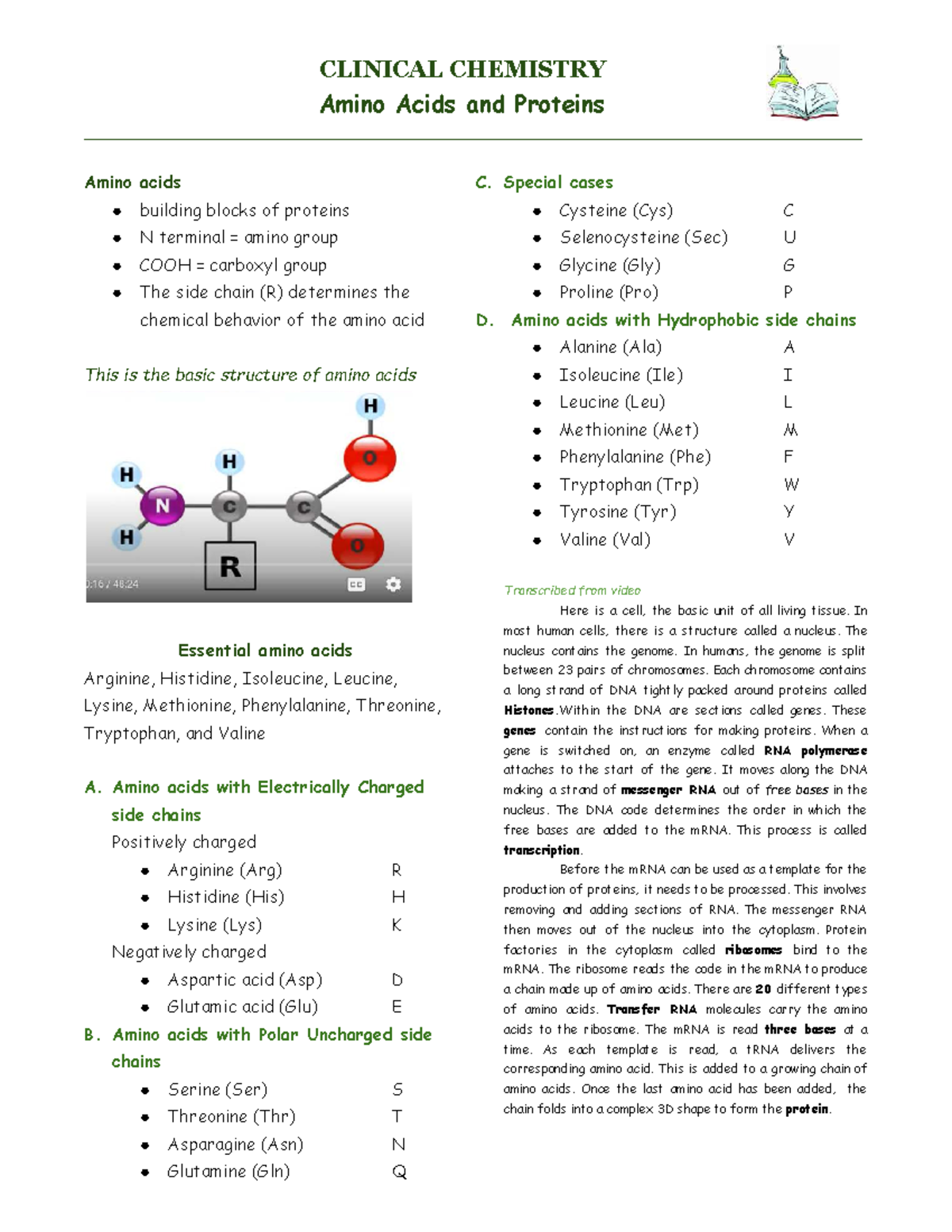 Amino acids and Proteins - Amino Acids and Proteins - Studocu