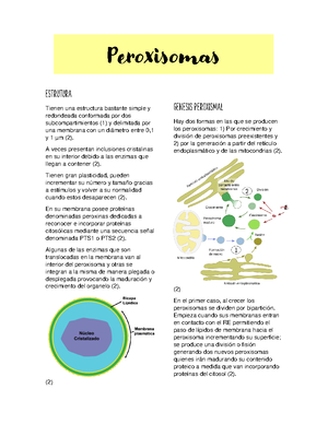 Técnica del Llenado Capilar: Importancia y Hallazgos Clínicos - Cnv ...