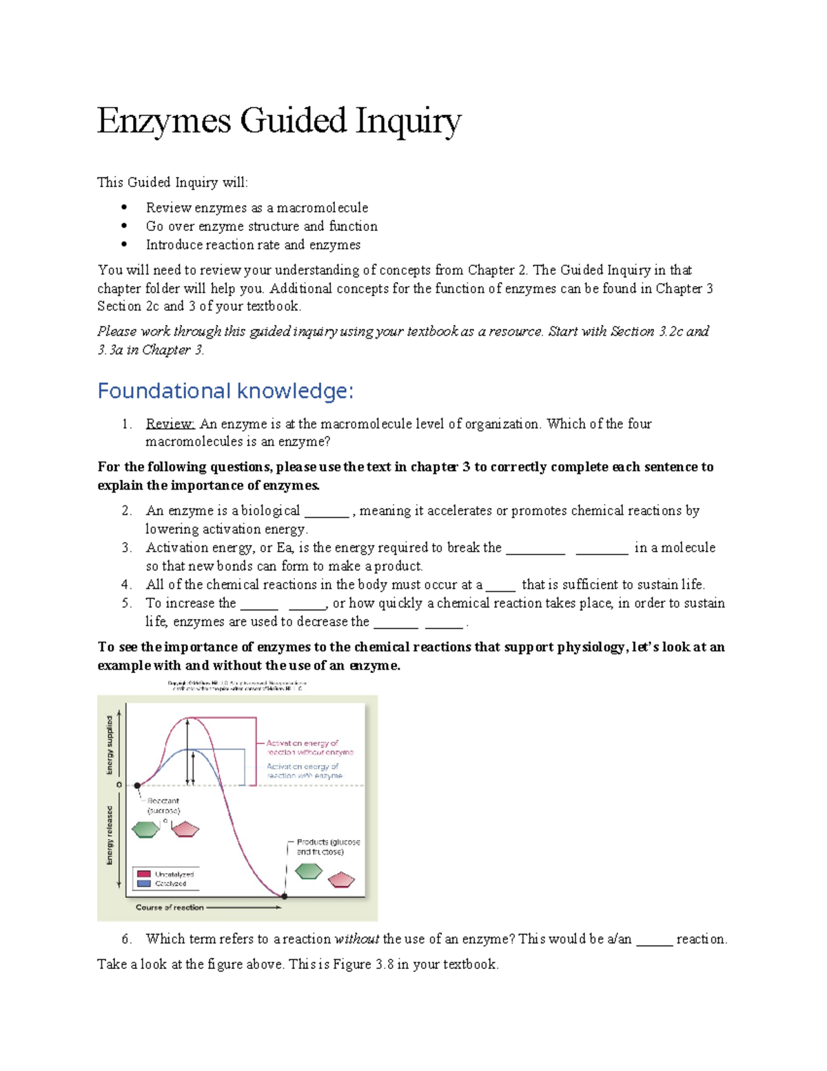 Enzymes Guided Inquiry: Structure, Function & Reaction Rates (Bio 101 ...