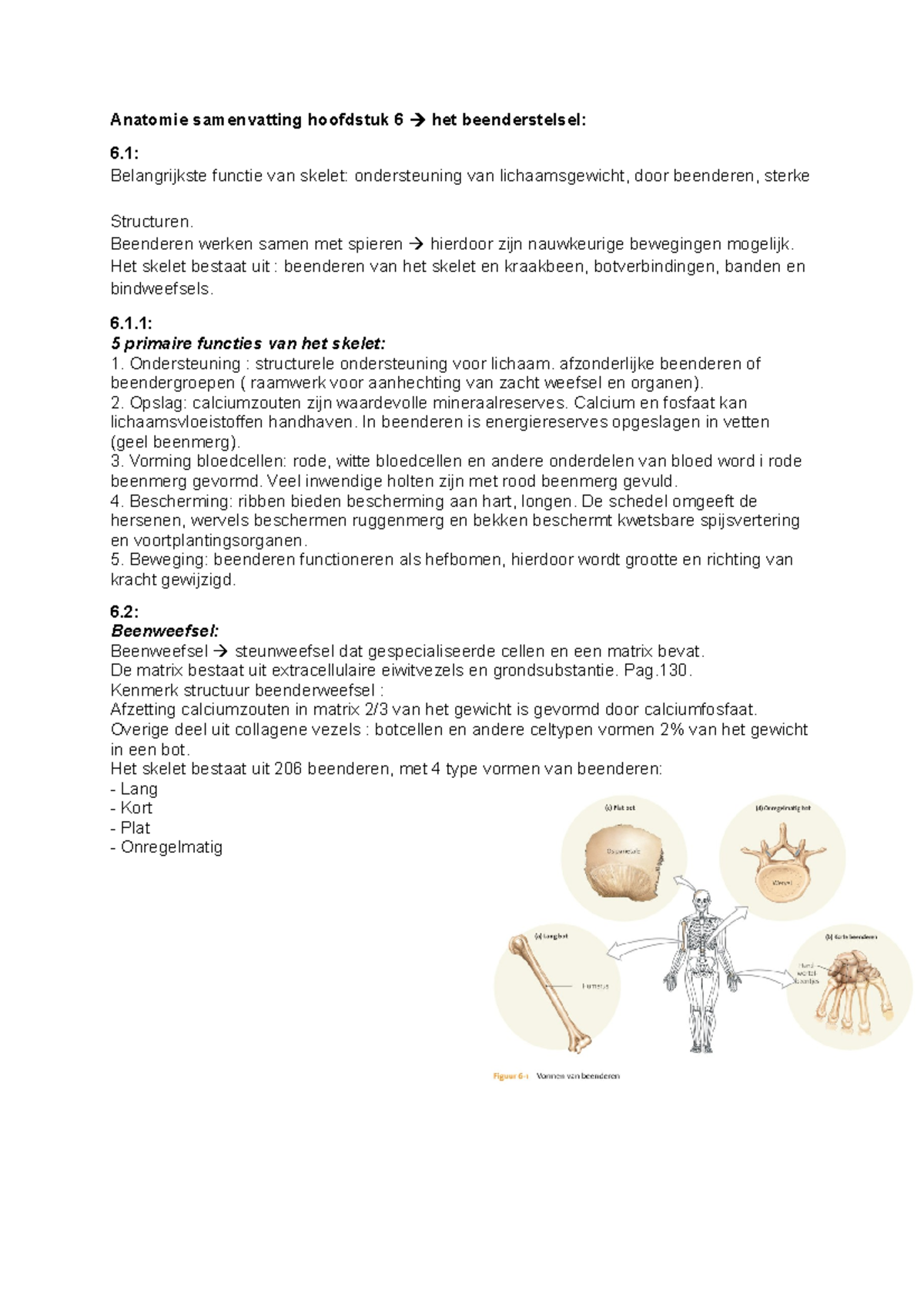 Anatomie hoofdstuk 6 zuyd - Anatomie samenvatting hoofdstuk 6 het ...