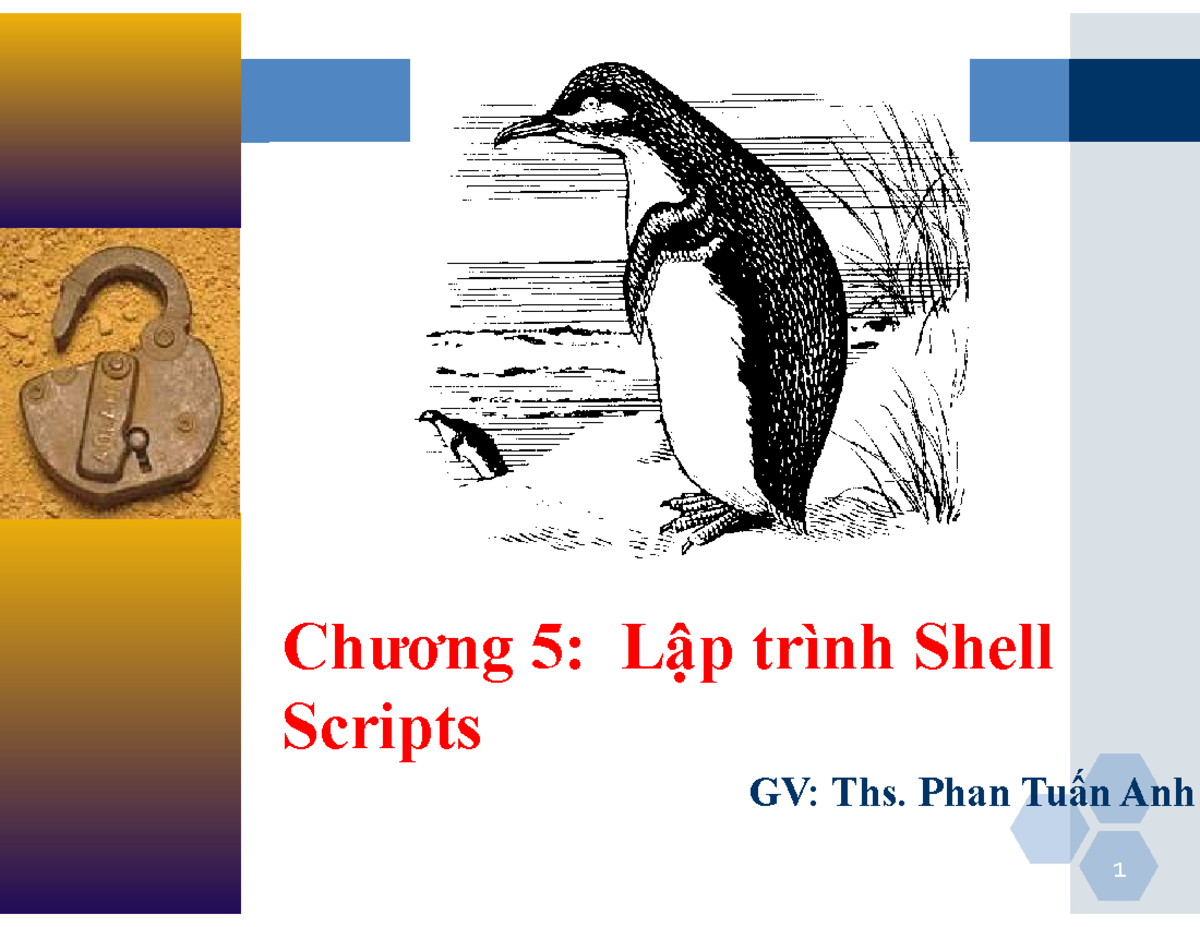 Bai 5 Lap trinh trong moi truong shell - VC BB 11 Chương 5: Lập trình Shell Scripts GV: Ths ...