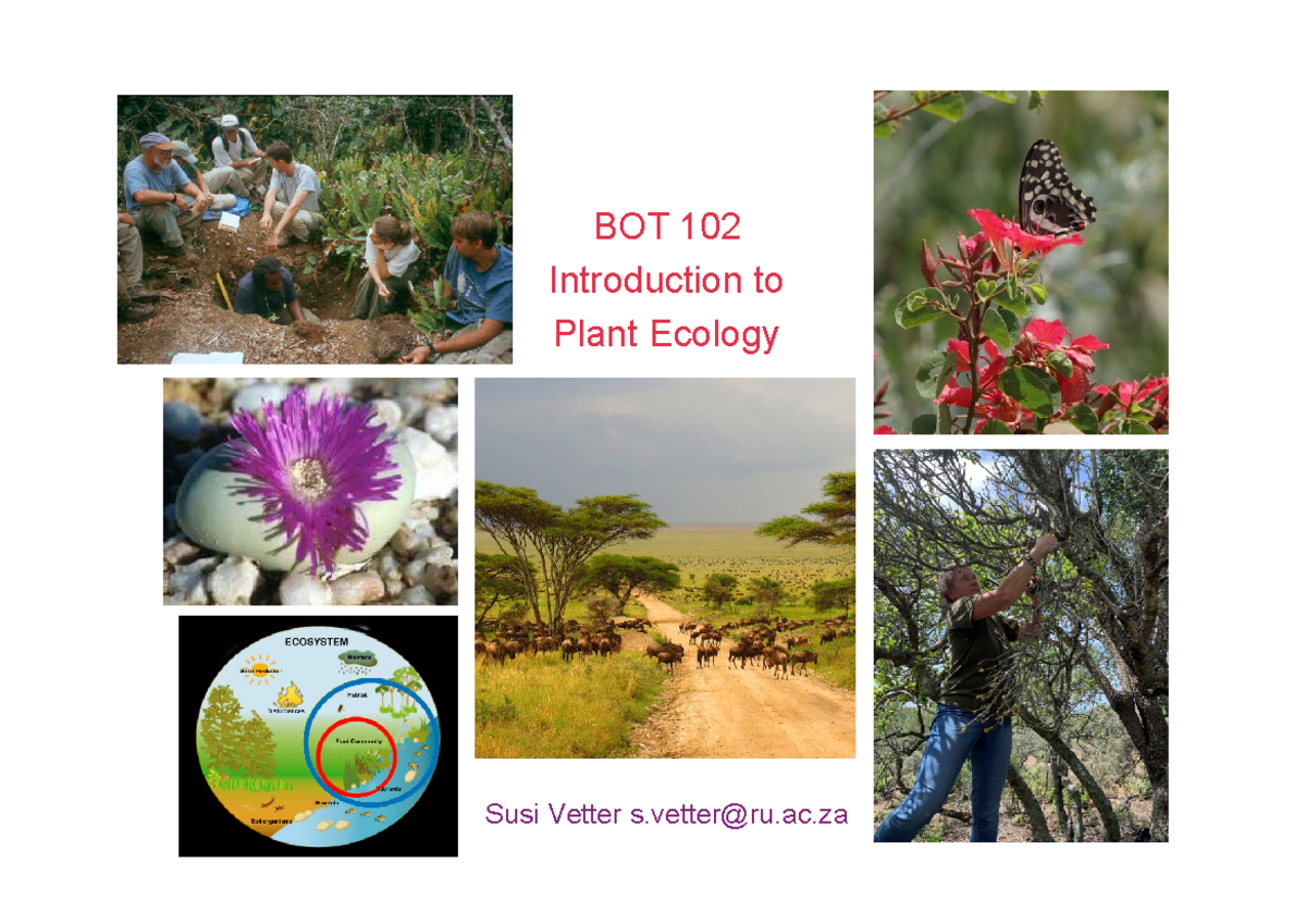 BOT 102 Final Exam Notes: Introduction to Plant Ecology - Studocu