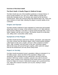 History NSW Syllabus for the Australian Curriculum Year 8 Stage 4 ...