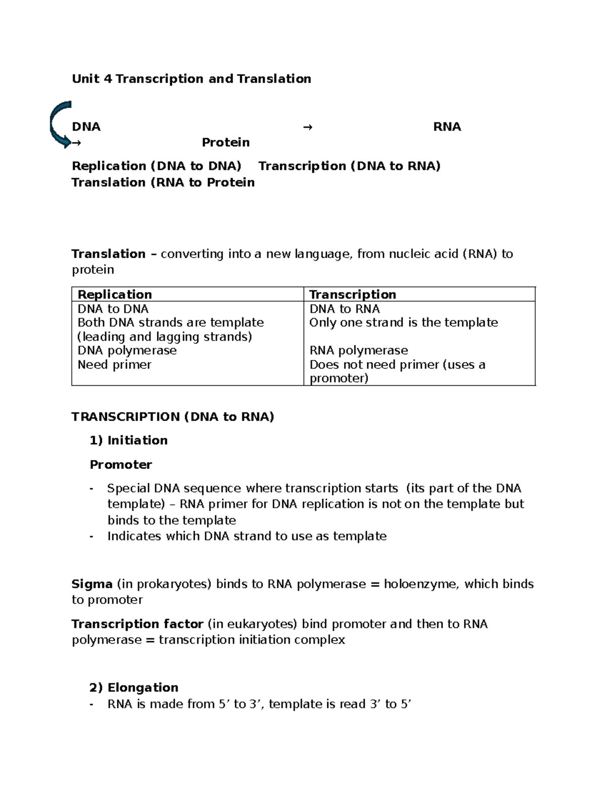 Unit 4: Transcription and Translation of DNA, RNA, and Proteins - Studocu
