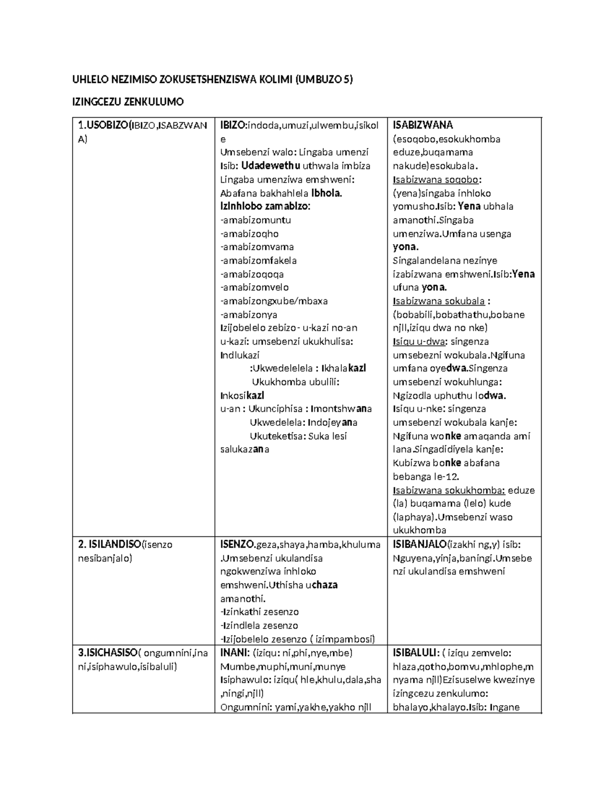 Uhlelo Nezimiso Zokusetshenziswa Kolimi (UMB5) - Izincazelo Nezidingo ...