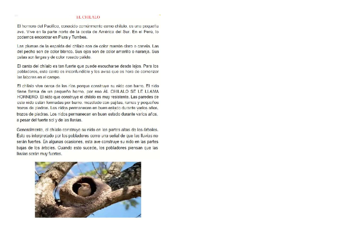 Lectura sobre el Chilalo: Características y Hábitos - COMUNICACIÓN ...