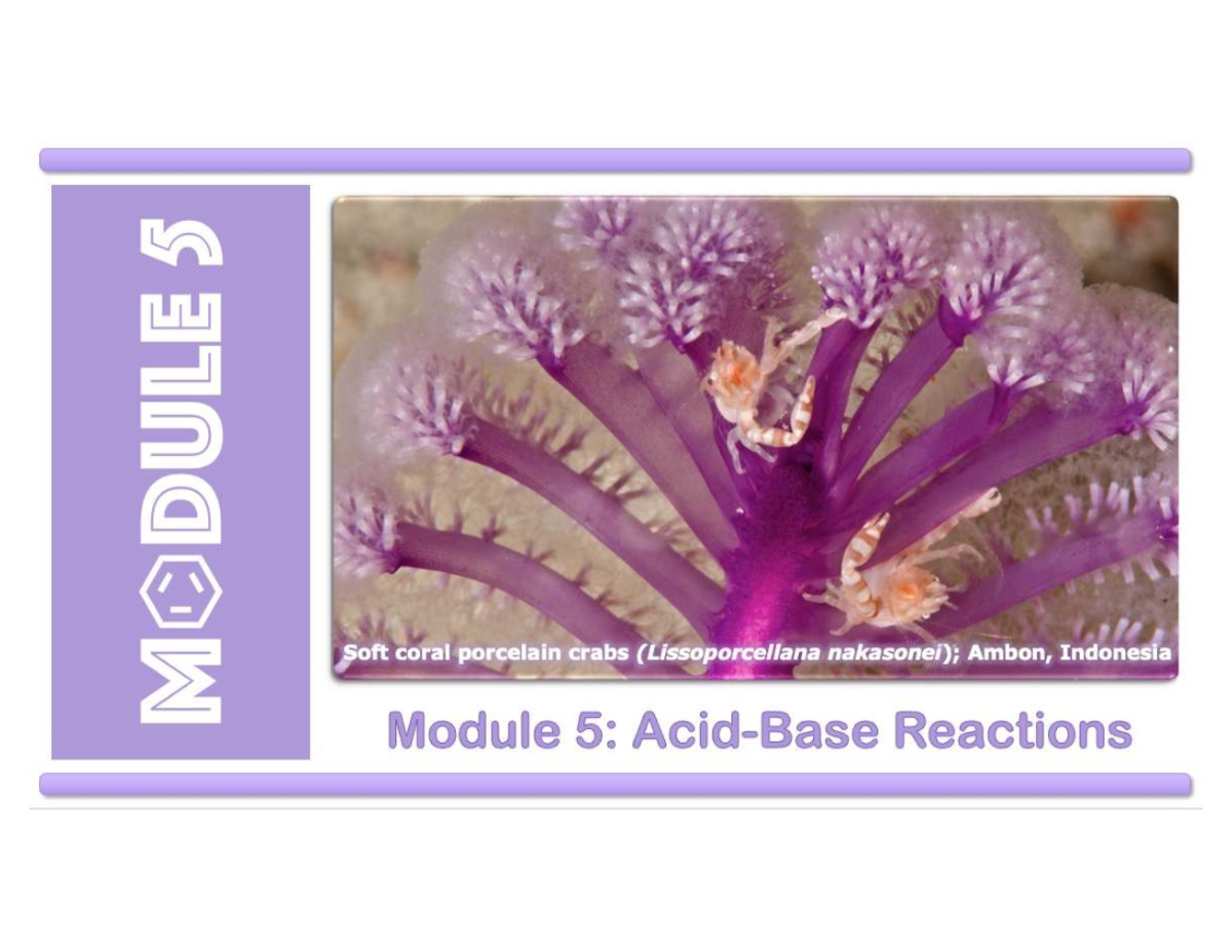CHM1321 Module 5 Acid-Base Reactions Study Guide - Studocu