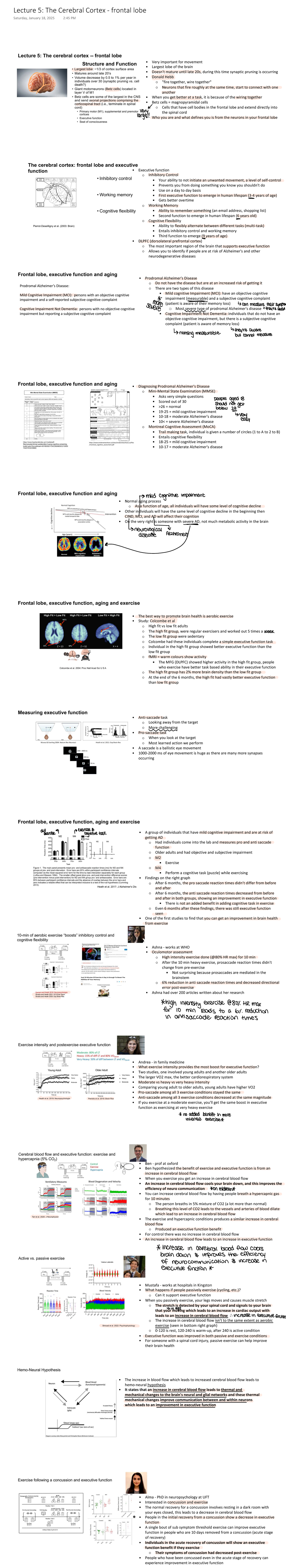 Lecture 5: The Cerebral Cortex - Frontal Lobe Insights and Functions ...