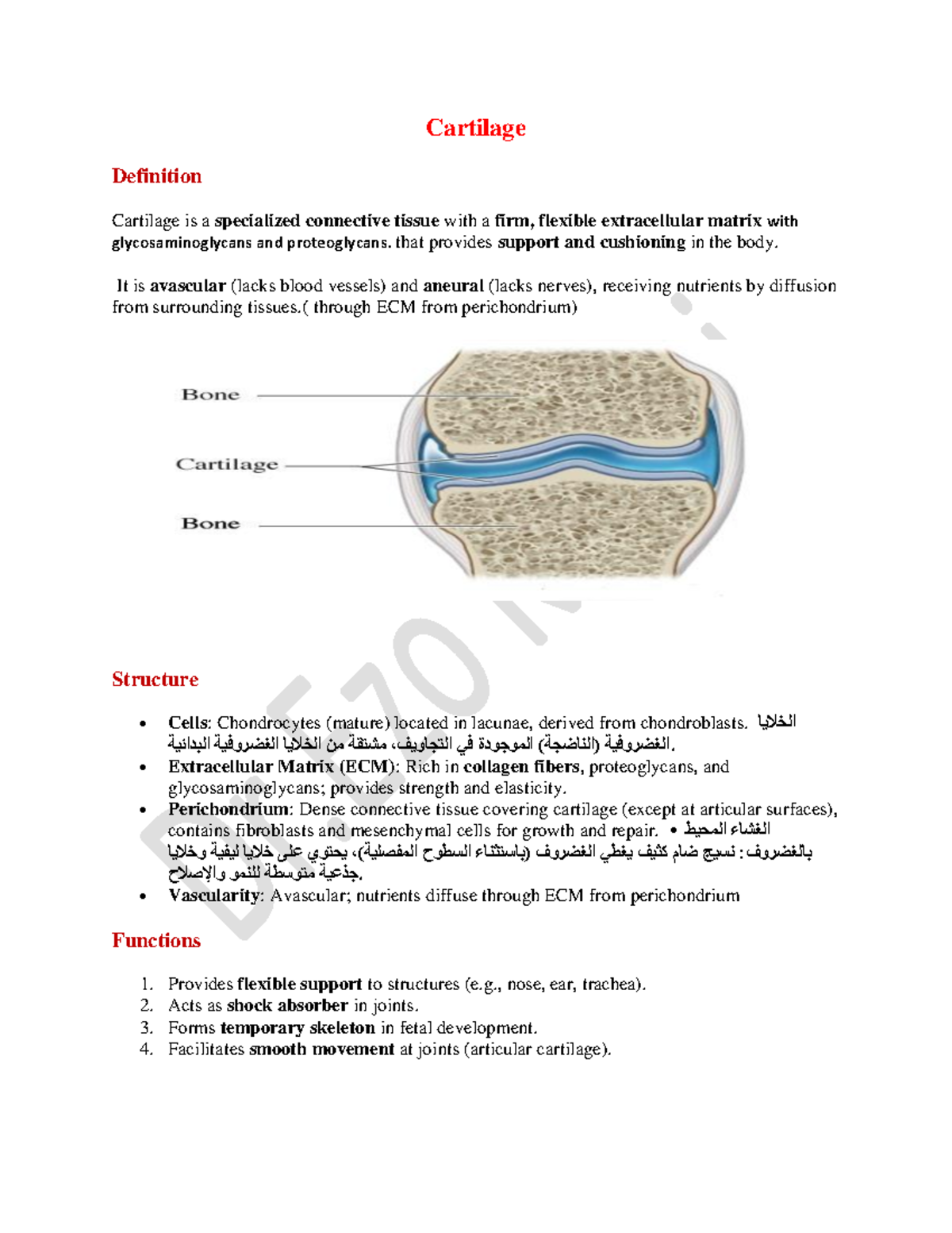 C.T 2020: Cartilage and Bone Overview - Part 2 Notes - Studocu