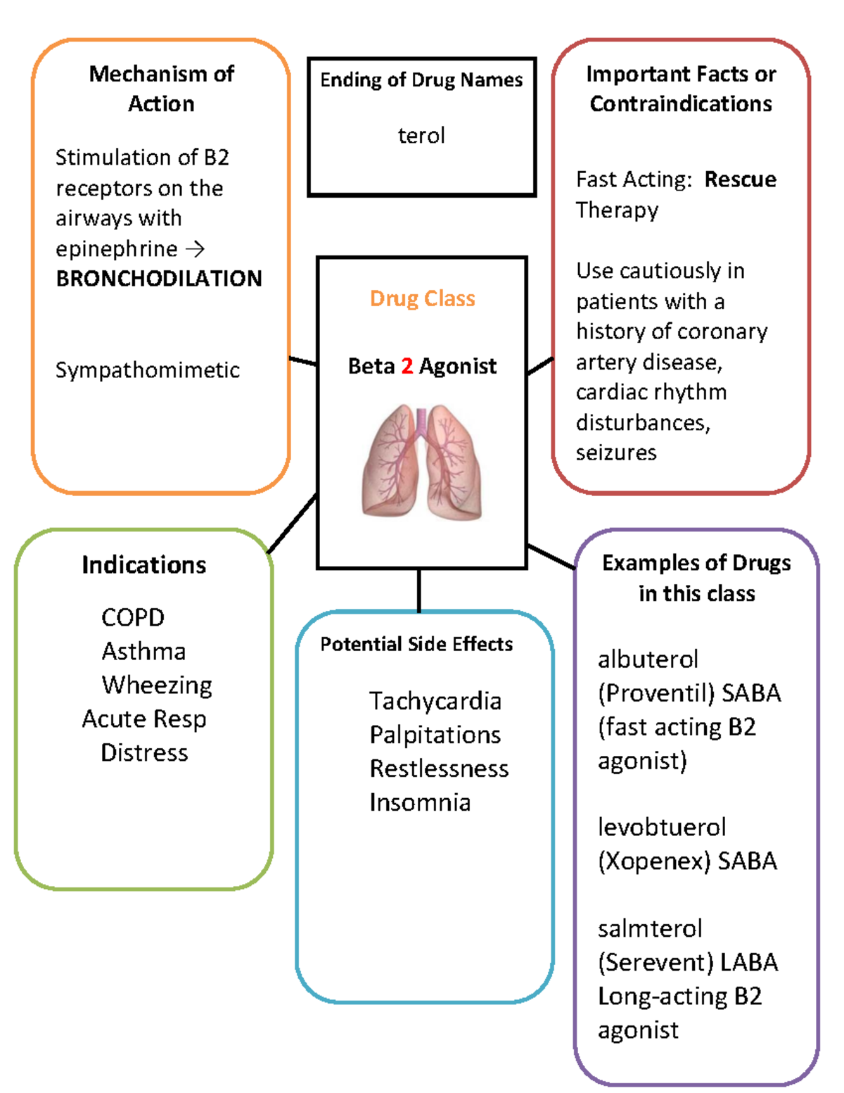Beta 2 Agonist Concept Map-1 - Drug Class Beta 2 Agonist Ending of Drug ...