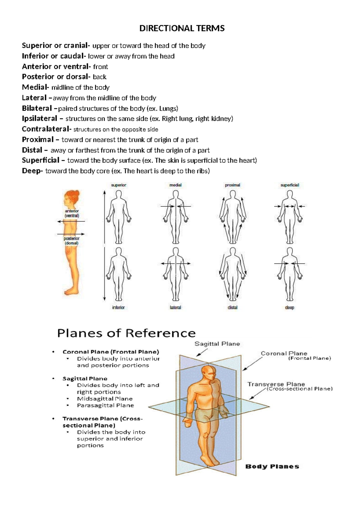 Directional Terms and Characteristics of Life in Anatomy (BIO101) - Studocu