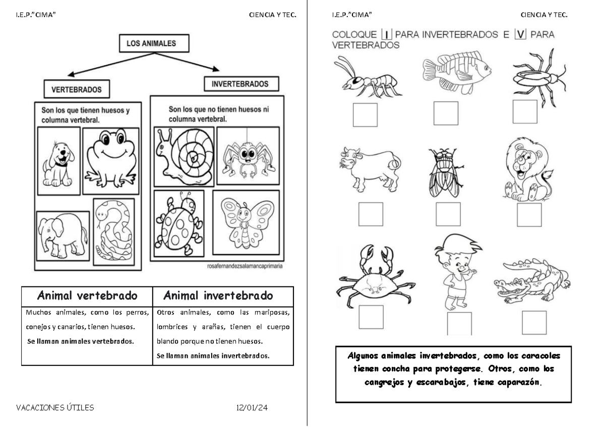 Ciencia Y TEC - LOS Animales Vertebrados E Invertebrados 2DO Grado - I ...