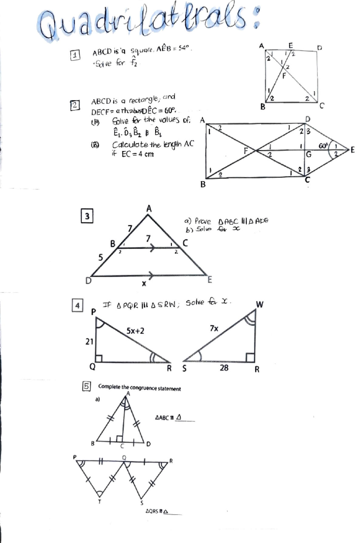 Quadrilaterals Quiz Questions and Solutions (Math 101) - Studocu