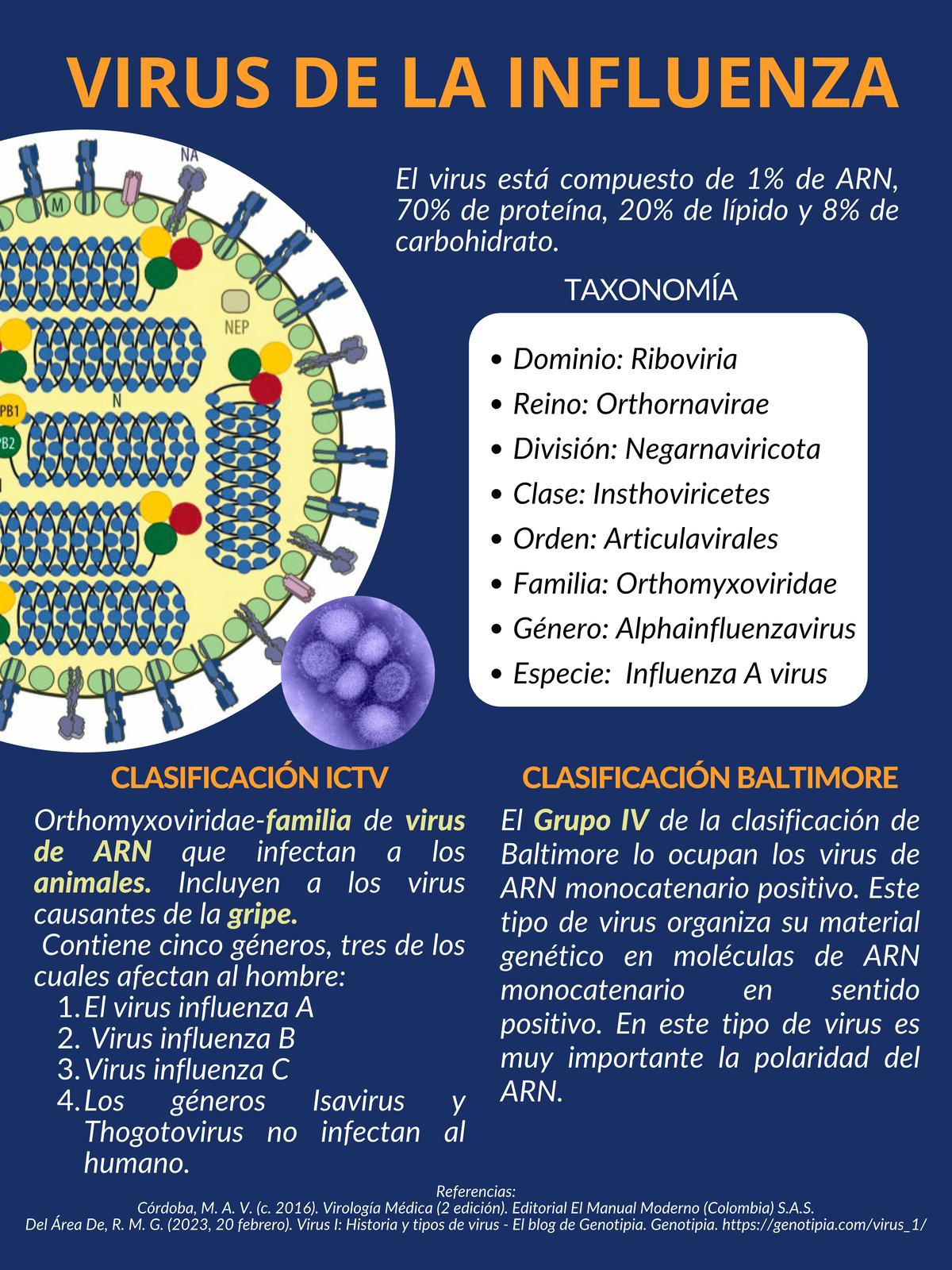 Estructura Del Virus De La Influenza