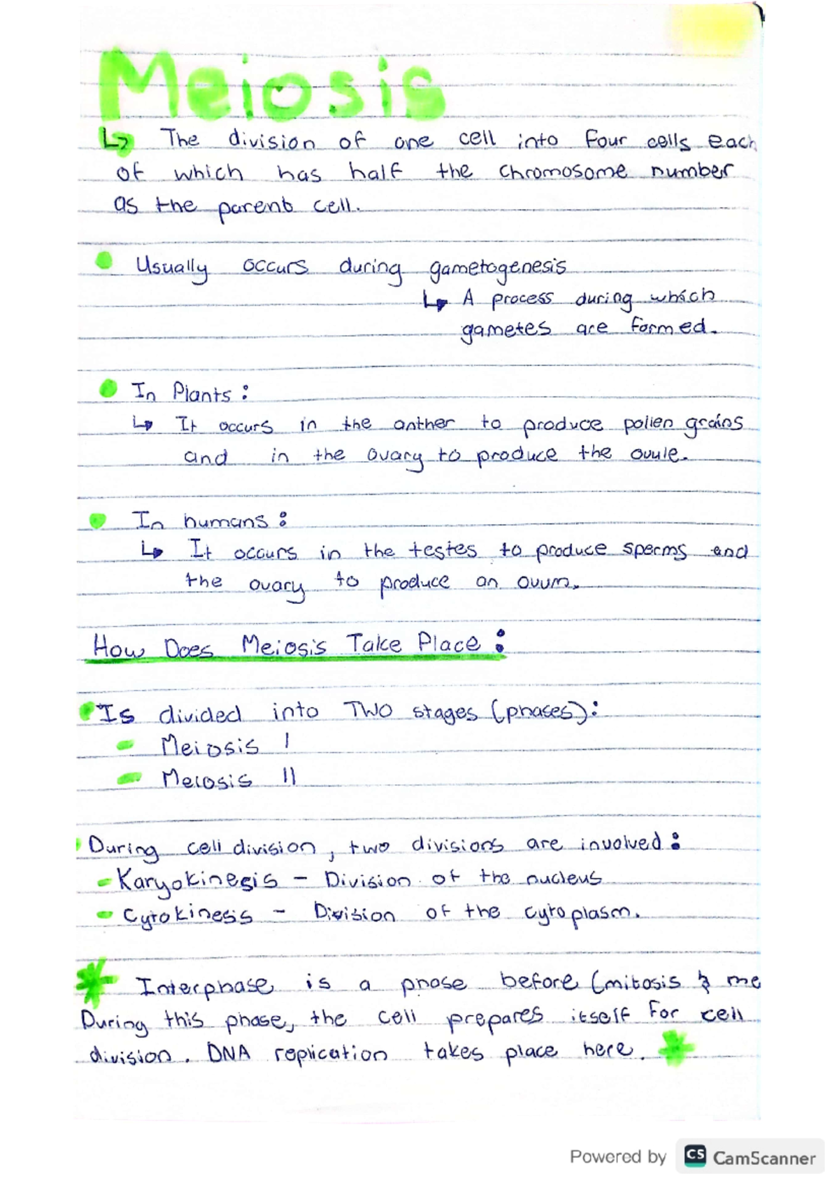 Meiosis Notes - Meiosis The division of one cell into Four cells each ...