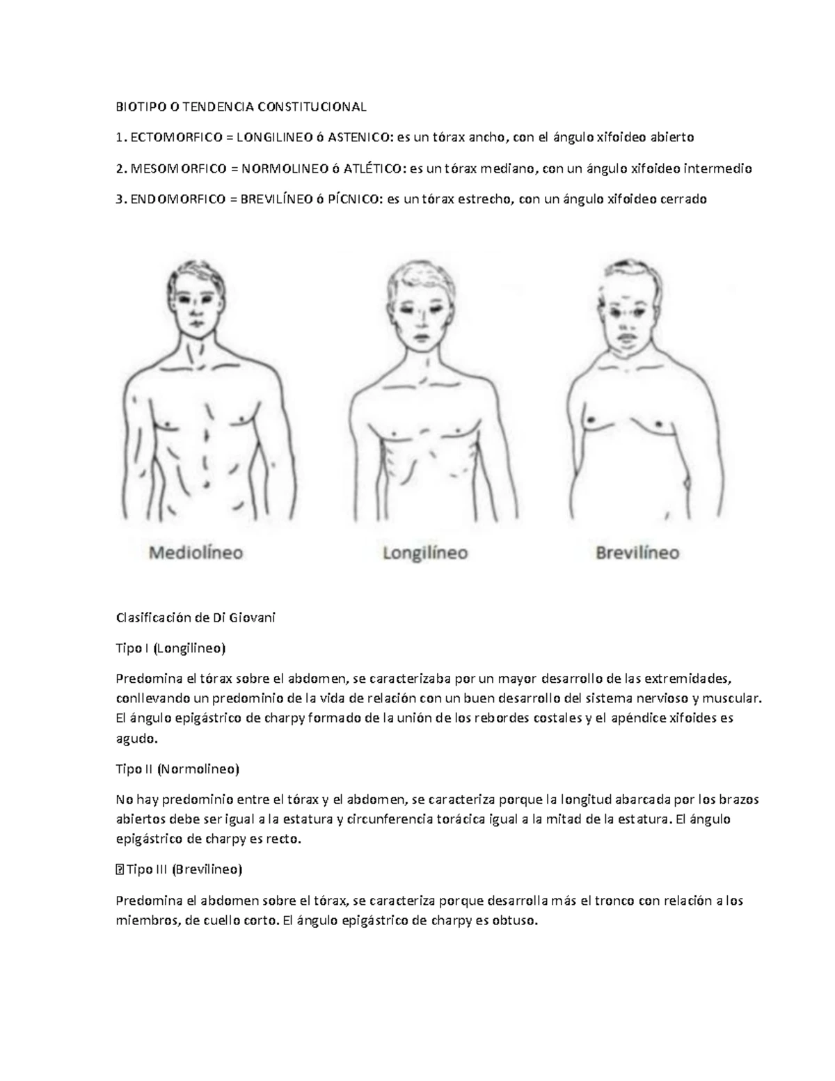 Tipos de torax y diagnosticos - BIOTIPO O TENDENCIA CONSTITUCIONAL ...