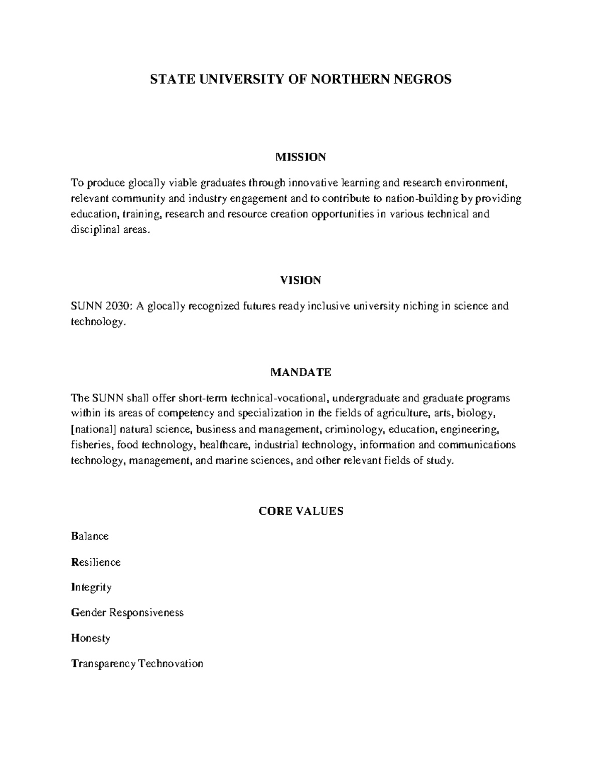 SUNN - Strategic Vision and Mission Overview Document - Studocu