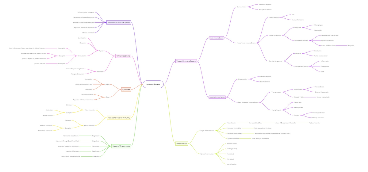 Mindmap of the Immune System: Key Concepts and Functions - Studocu