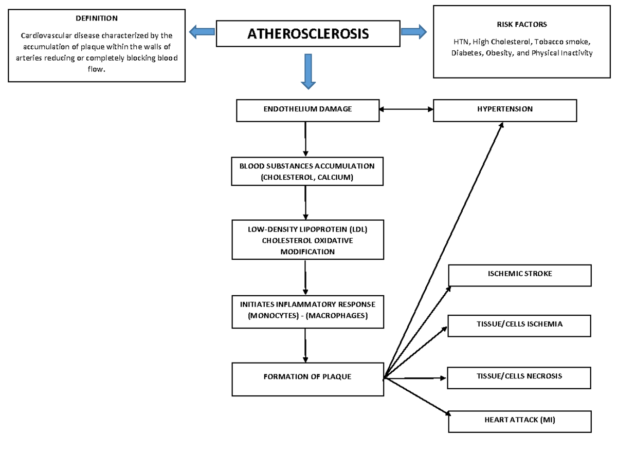 Atherosclerosis Pathophysiology Overview and Key Risk Factors - Studocu