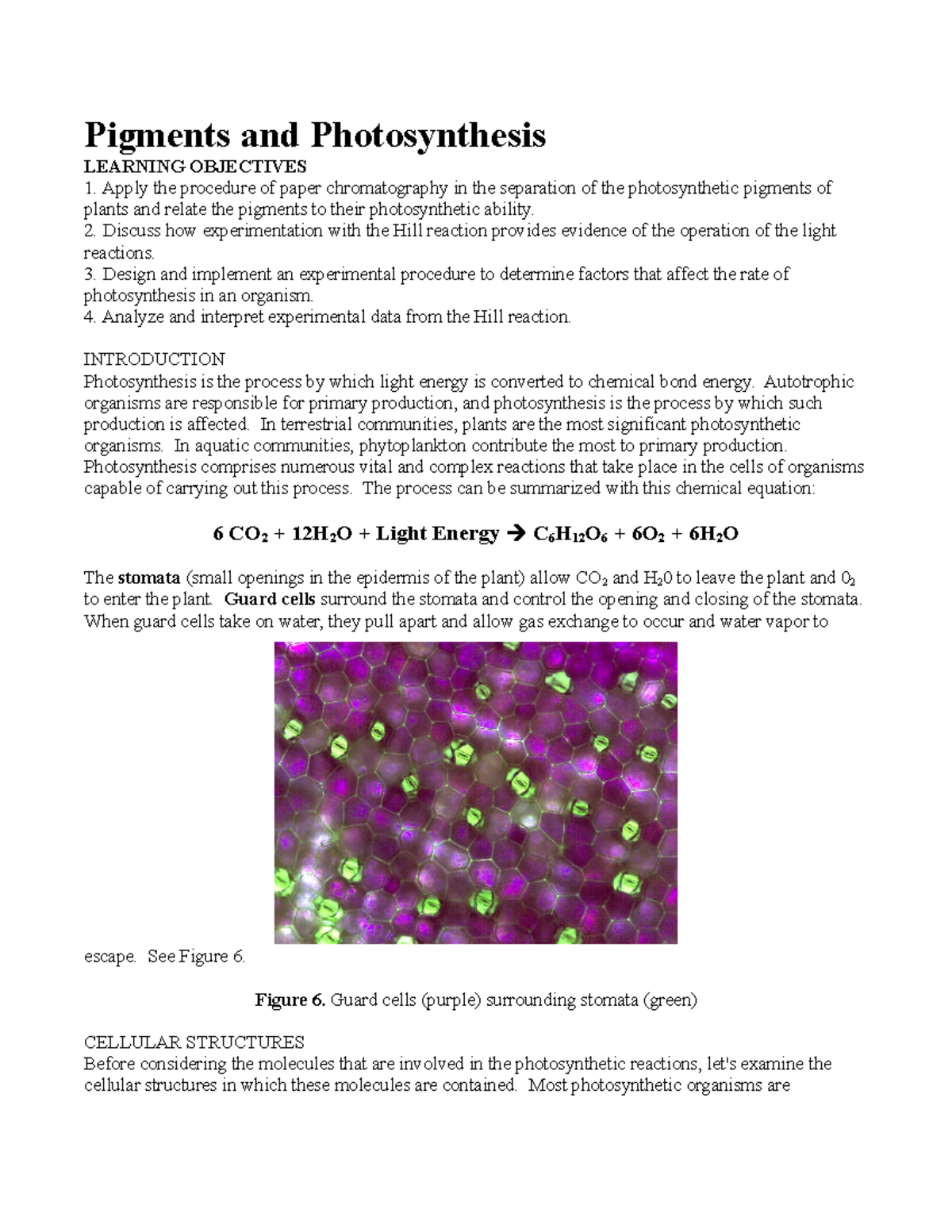 Photosynthesis Lab (BIO 101): Paper Chromatography & Hill Reaction ...